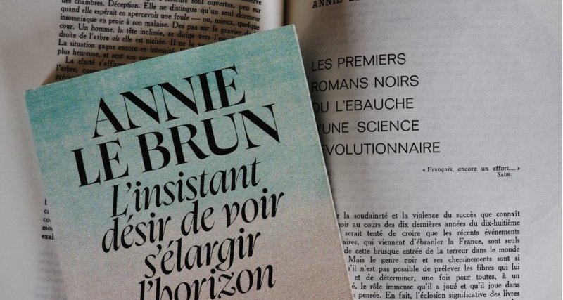 Conversations avec Annie Le Brun